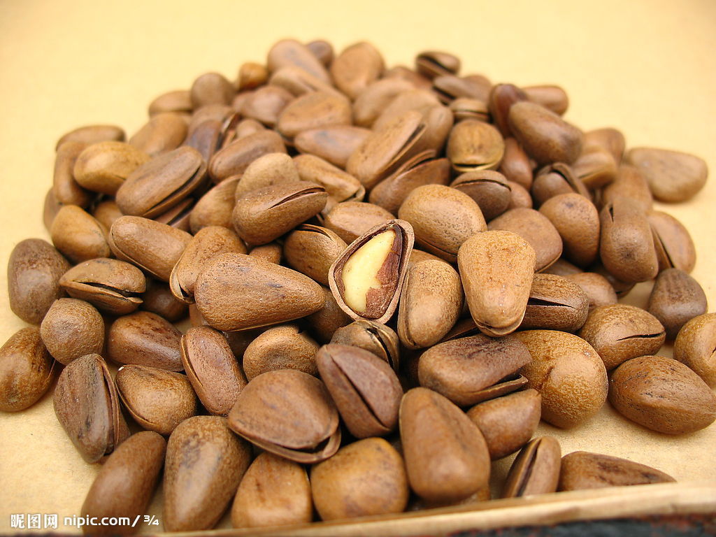 冬季吃松子4大功效 ~ 媽媽酵素之家MAMA ENZYME