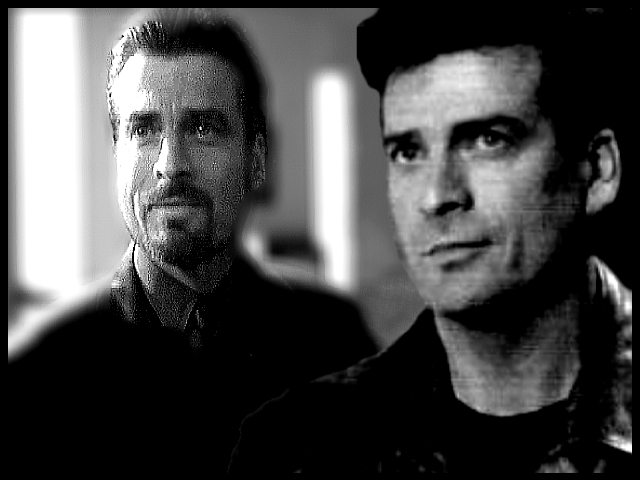 Targeted Individuals Canada: Stephen Shellen