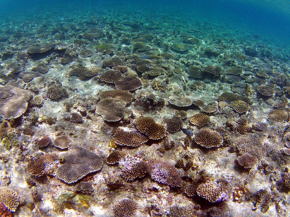 Visiter Okinawa Japon : Cape Maeda Point Okinawa