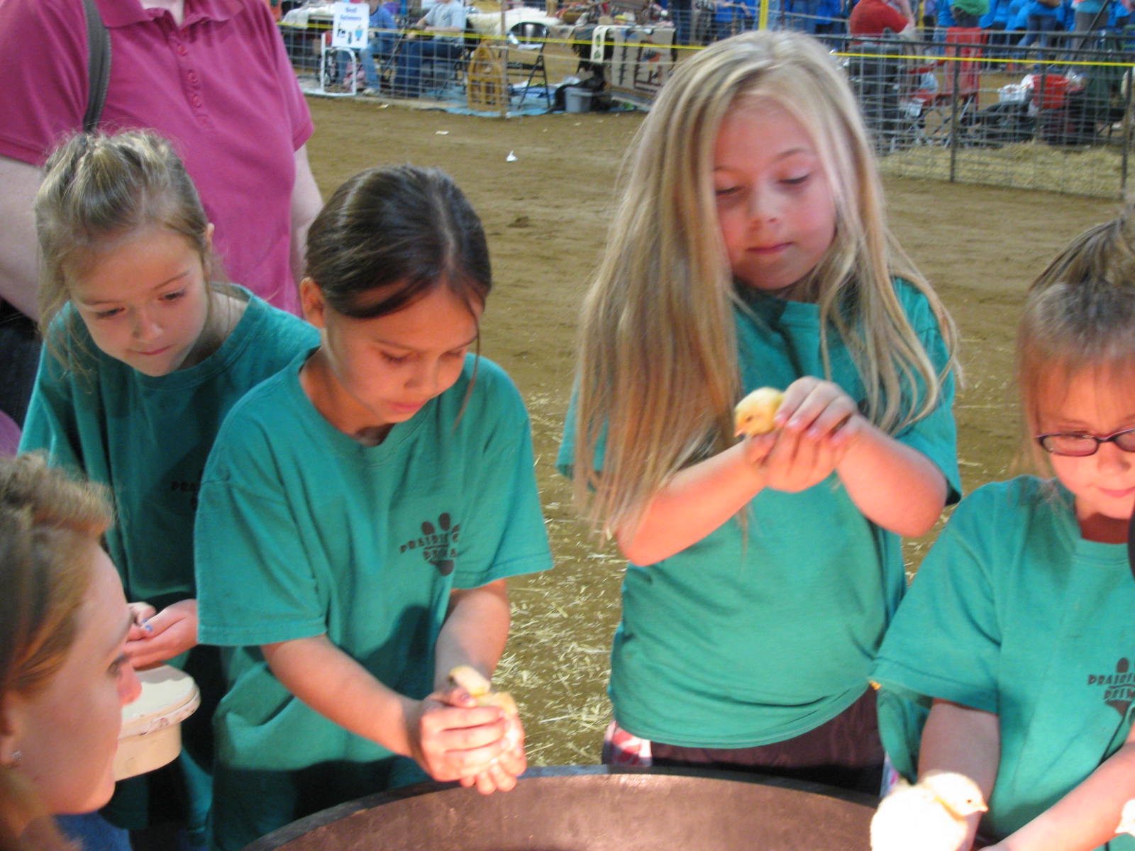 Mrs. Dougan's Kindergarten Class: Farm Friends