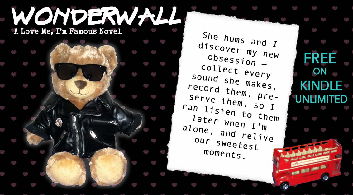 Ogitchida Kwe's Book Blog : Wonderwall Book Blitz. Giveaway!