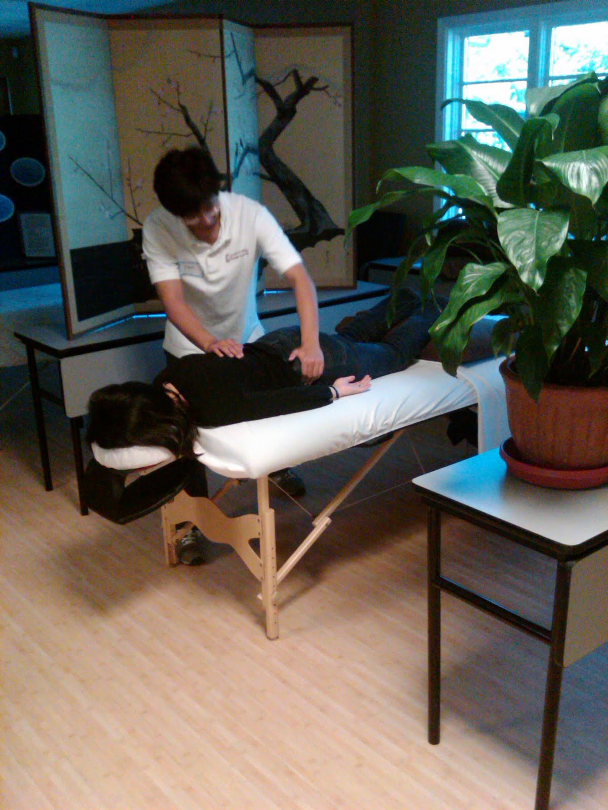 FLAT FISH PAPER ARTS: Japan Town Massage Therapy Group