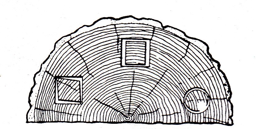 Swelling and shrinking of the wood - wisno wood furniture finishing