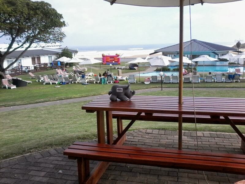 Umkhombe the Rhino: Centrestage