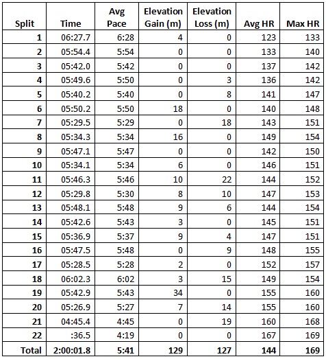 Running, Wonky Ankle and All: Pittsburgh Half Marathon 2013 Race Report