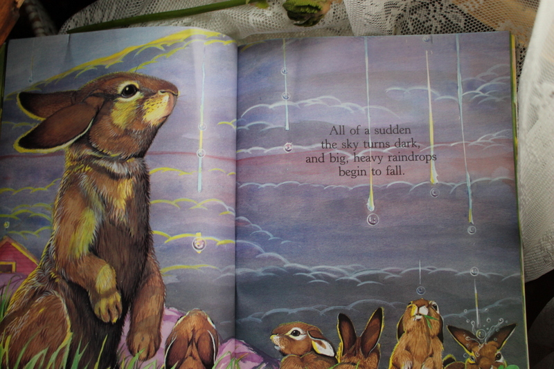 Books and Umbrellas: Rabbits & Raindrops by Jim Arnosky