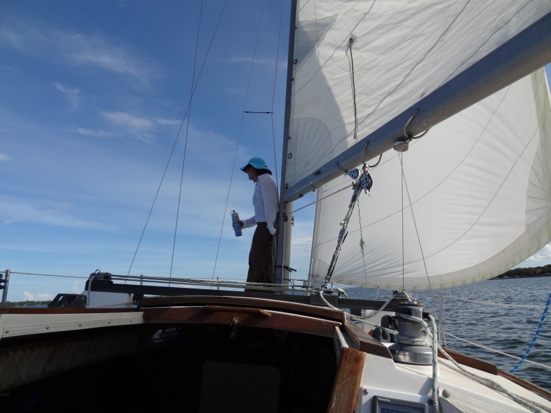 Rodgers 24/ Catalina 30