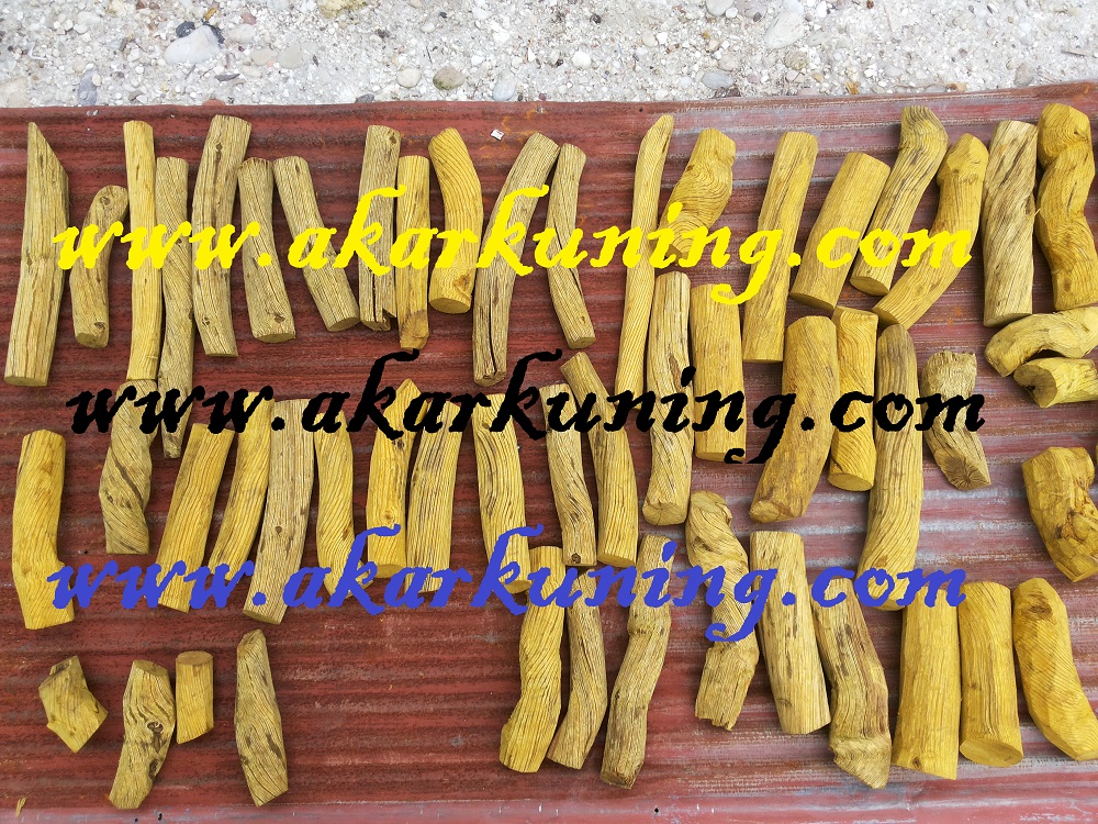 AKAR KUNING , OBAT LIVER , OBAT HEPATITIS , OBAT DIABETES: Khasiat dan ...