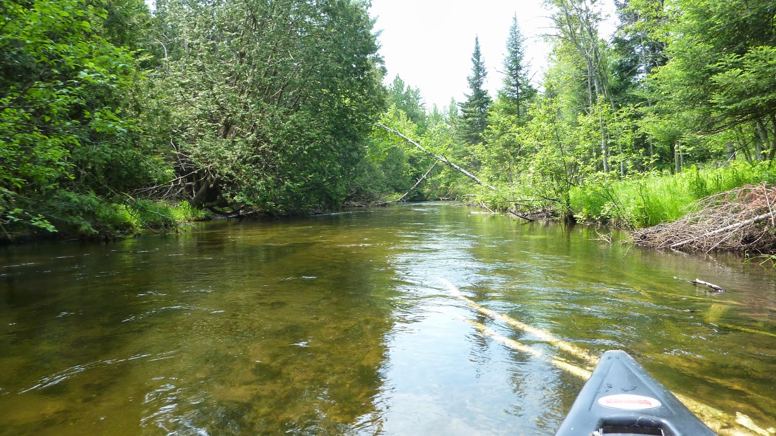 Paddling and Camping in the Midwest: The Boardman River - Michigan
