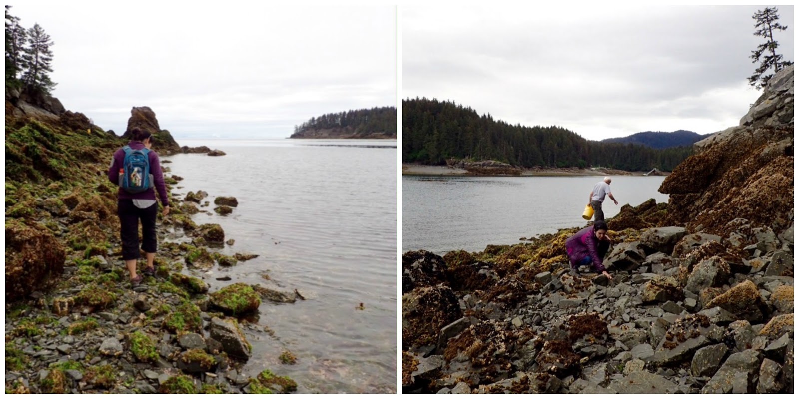 The Baked Alaska Project: Jakolof Bay Steamed Mussels