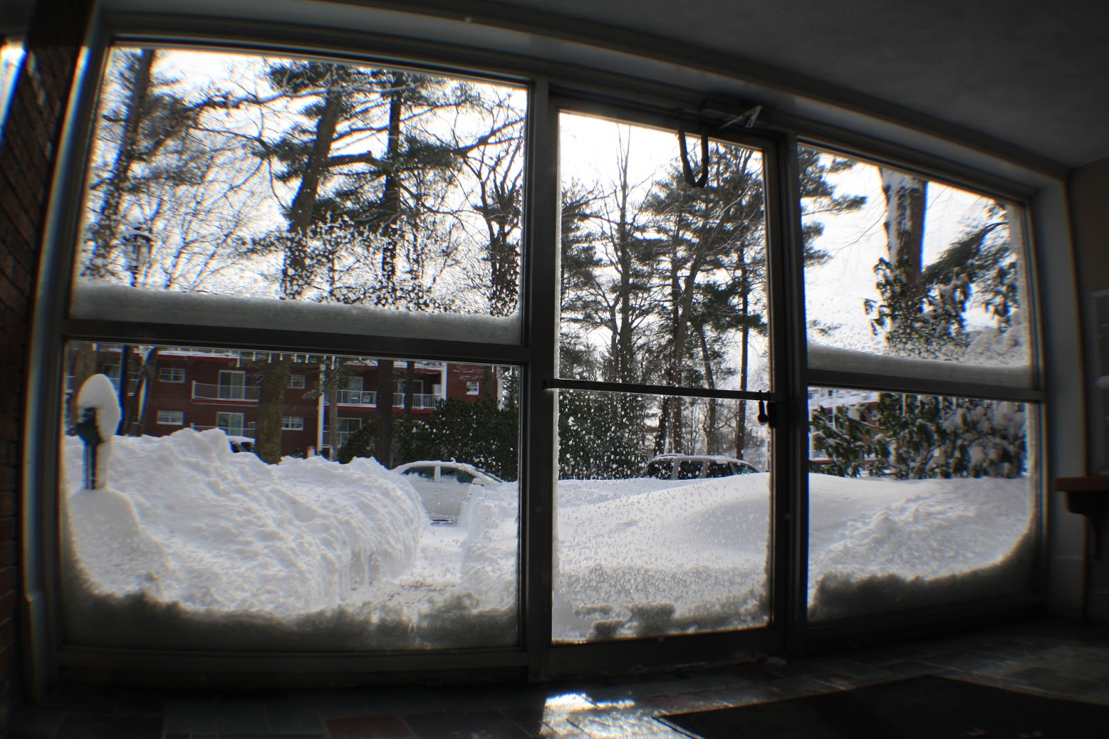 Black UniGryphon's Modest Photos: What The Blizzard Looked like From ...