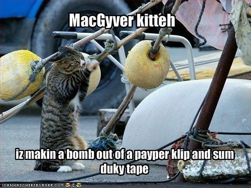 Clip Art And Picture Funny Cat Pictures With Captions