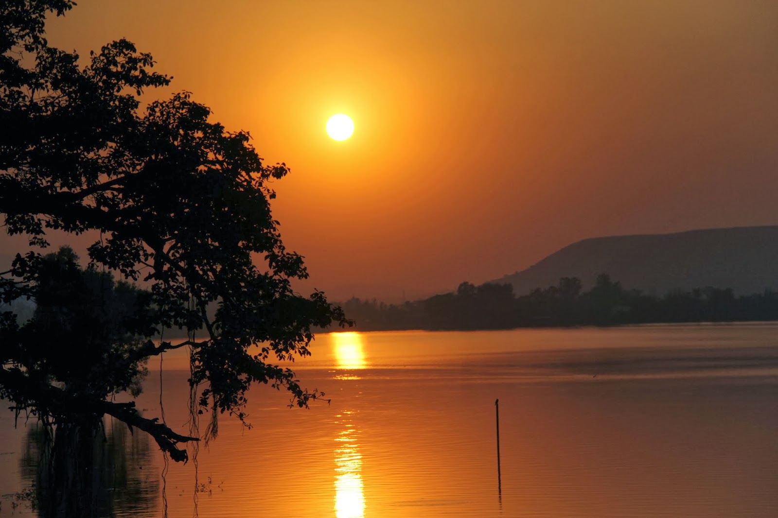 Pashan Lake, Pune: How To Reach, Best Time & Tips
