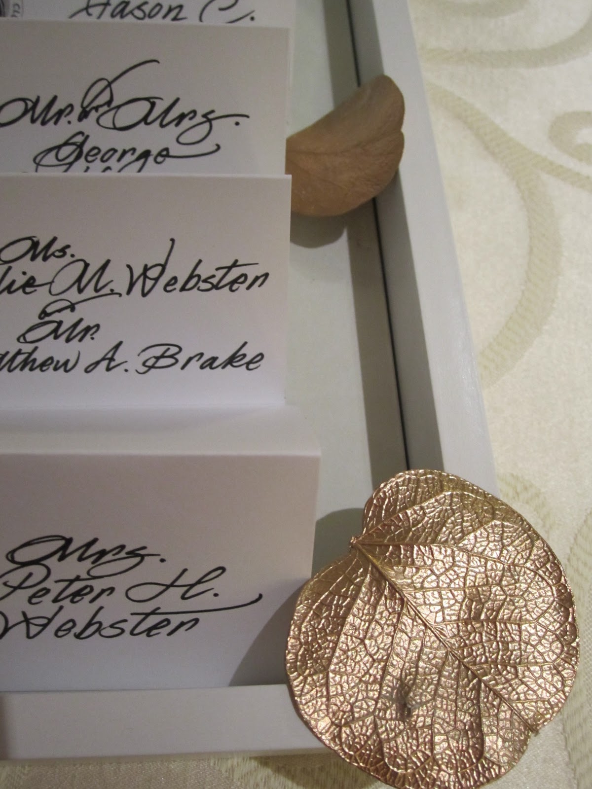 Tish Long Flowers: Indian Summer