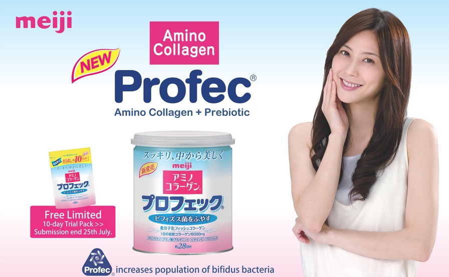 Wendy Interests: Meiji Profec review