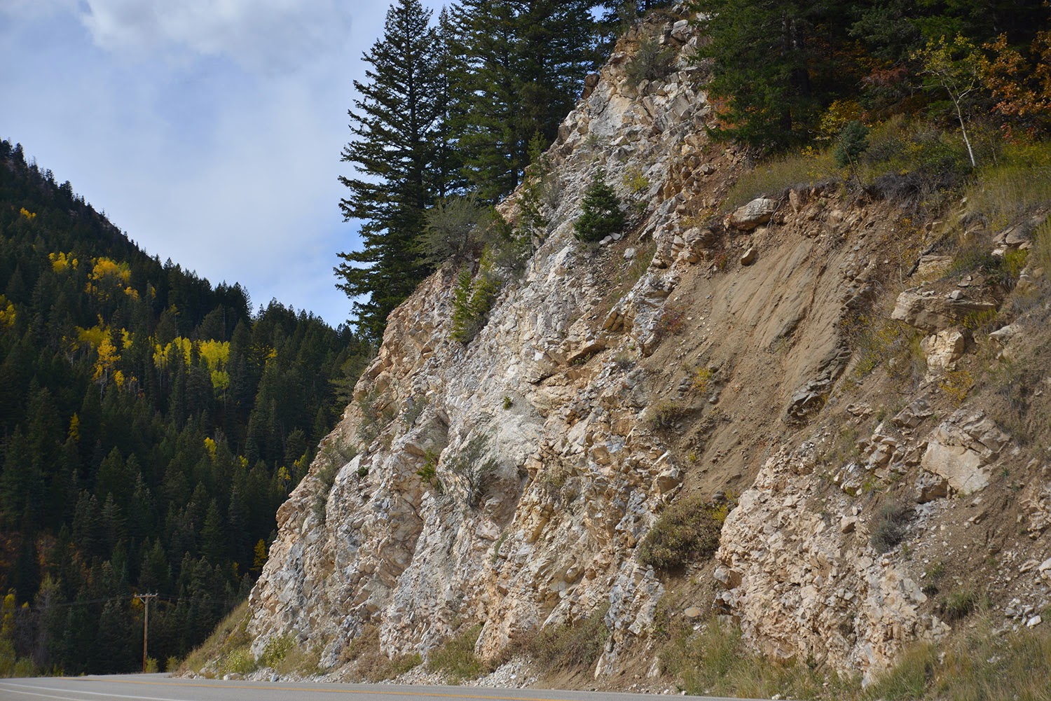 A school of fish: Metamorphic Rock Examples