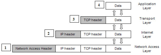 Pengertian Layer 7 OSI Dan Pengertian TCP/IP