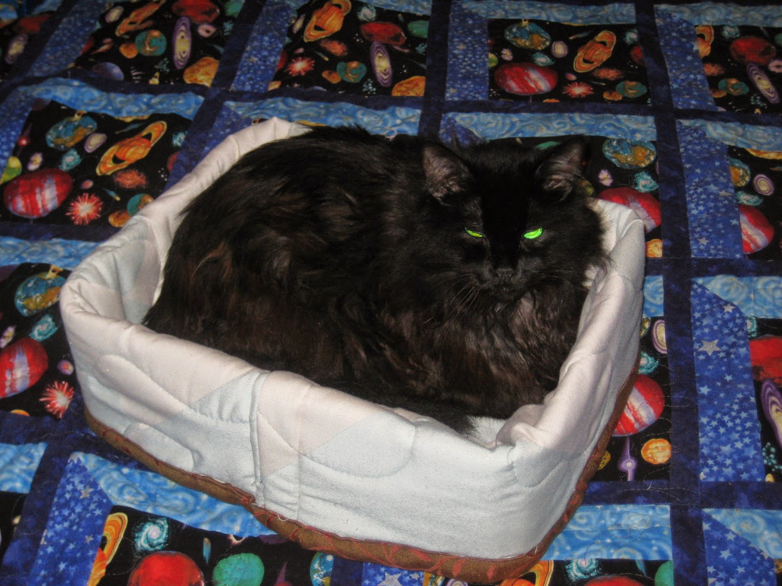 Pondering Cat: Cat Bed with Cardboard Box Frame Tutorial
