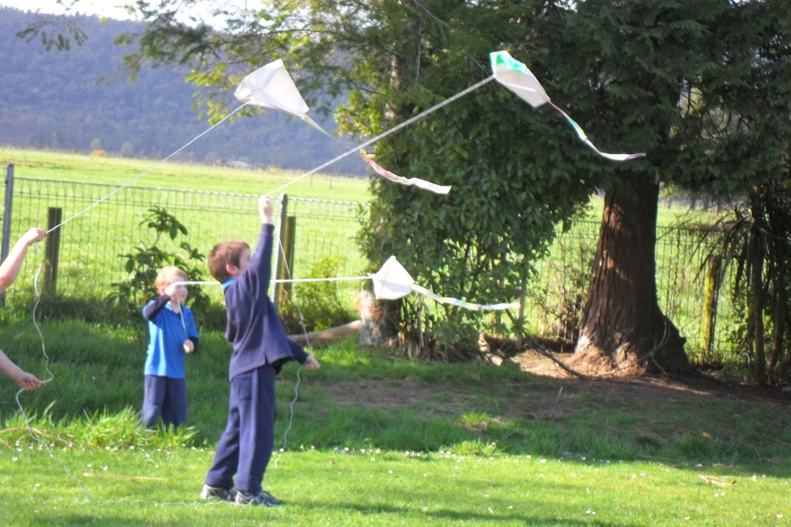 Pukeko room Kokatahi: Flying our home made kites