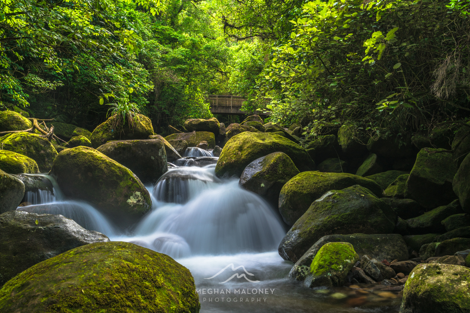 10 Must-See Waterfalls in New Zealand