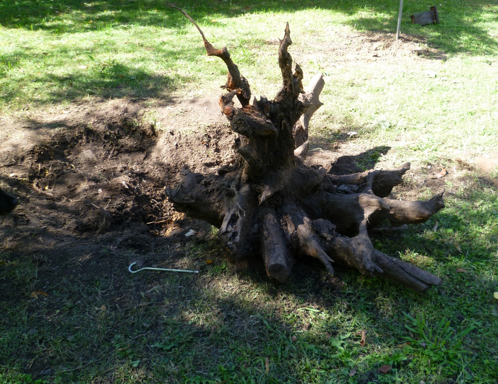 Forgotten Past of Danville, VA: December 2011