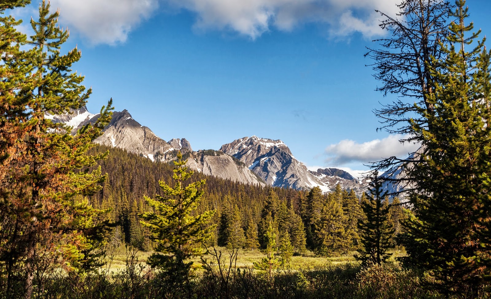 Escape life in Canada: Great Divide Trail hike – Trailer