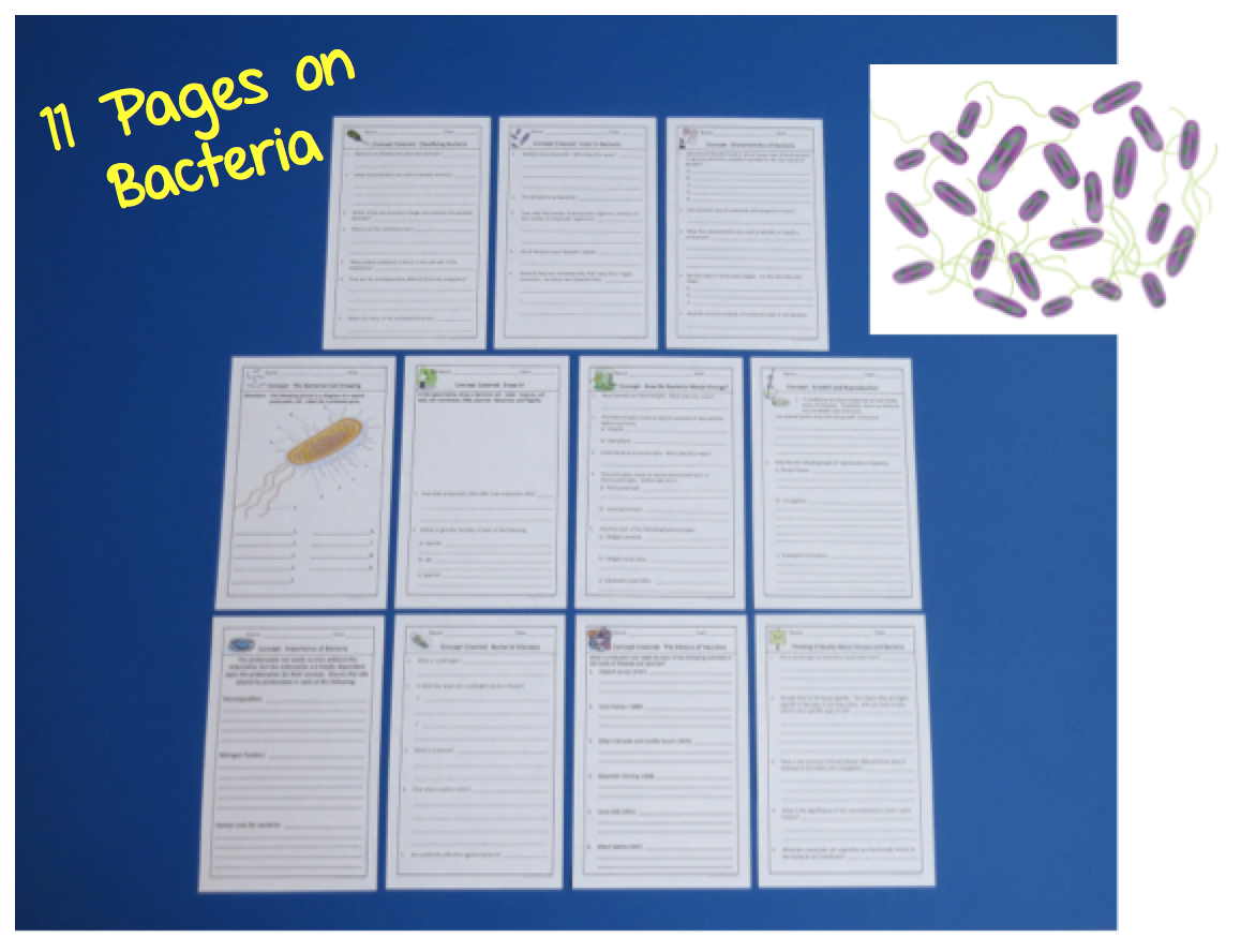 Amy Brown Science: Interactive Notebooks Make Teaching Viruses and ...