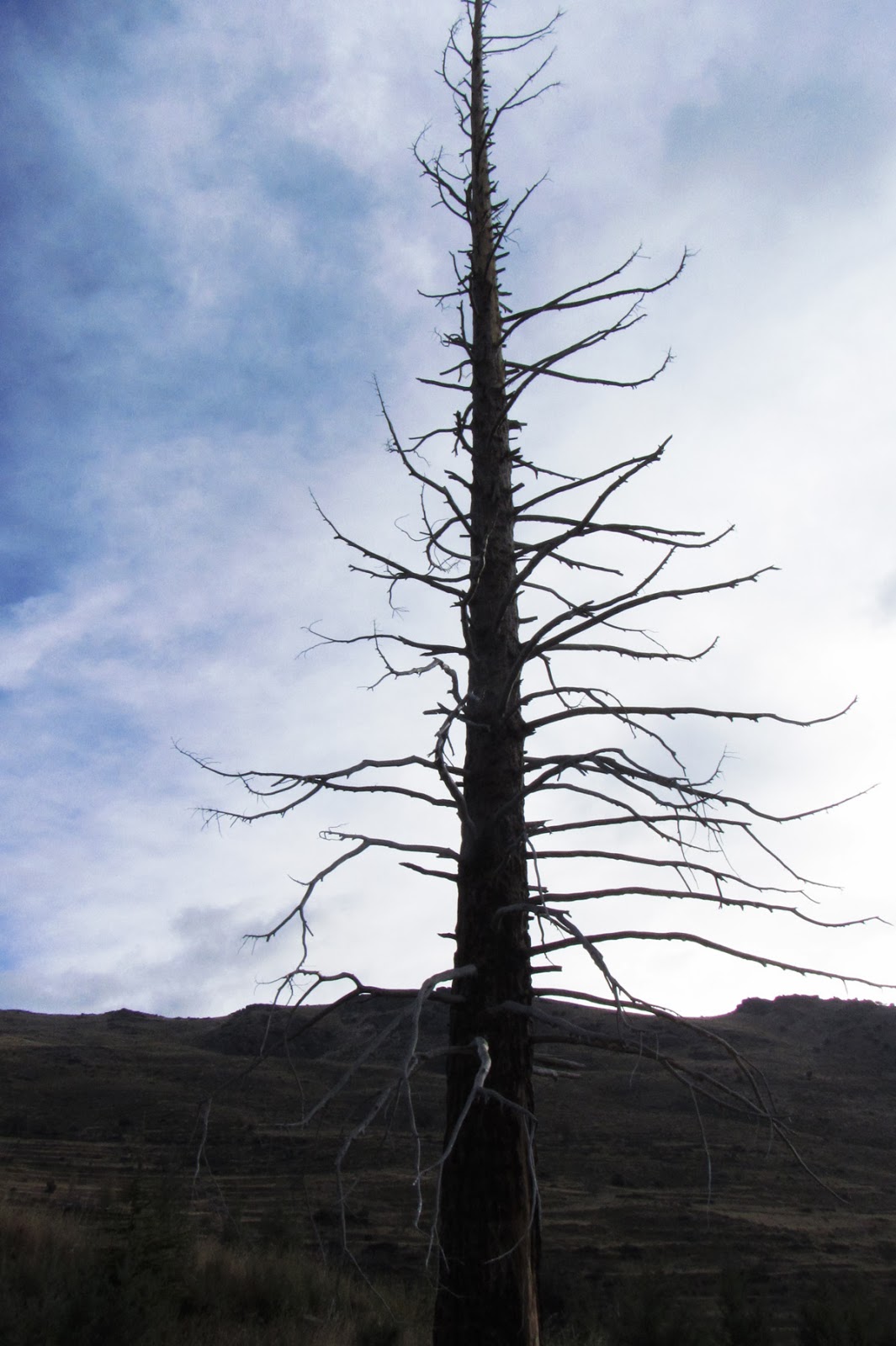 Caminando por Sierras y Calles de Andalucía: Sulayr Tramo 4: Tello ...
