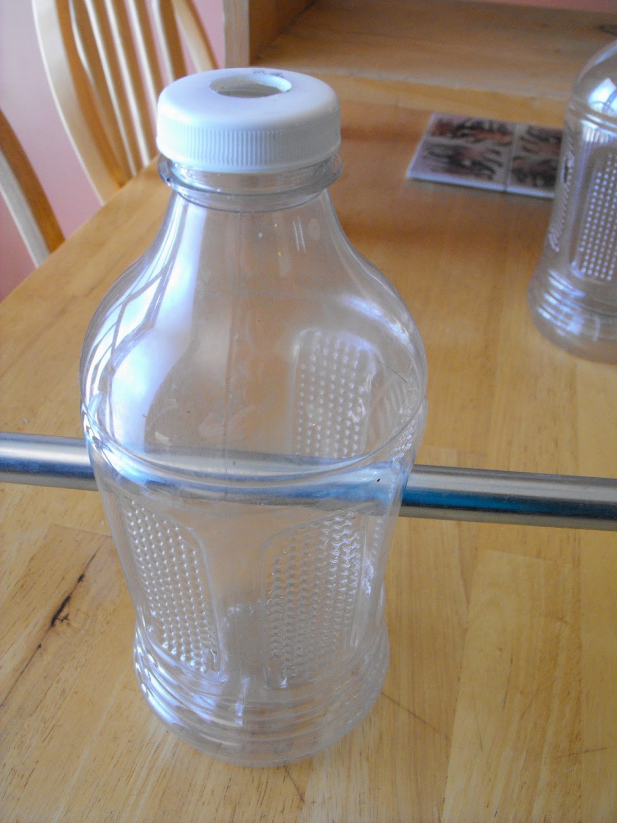 Raising Cinder, a Border Collie Puppy: Spinner Bottle Treat Toy-Cinder ...