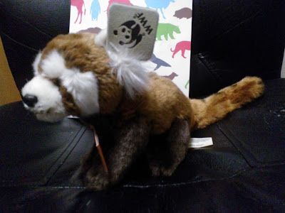 The Haven of a Wanderluster: WWF Red Panda Adoption Kit