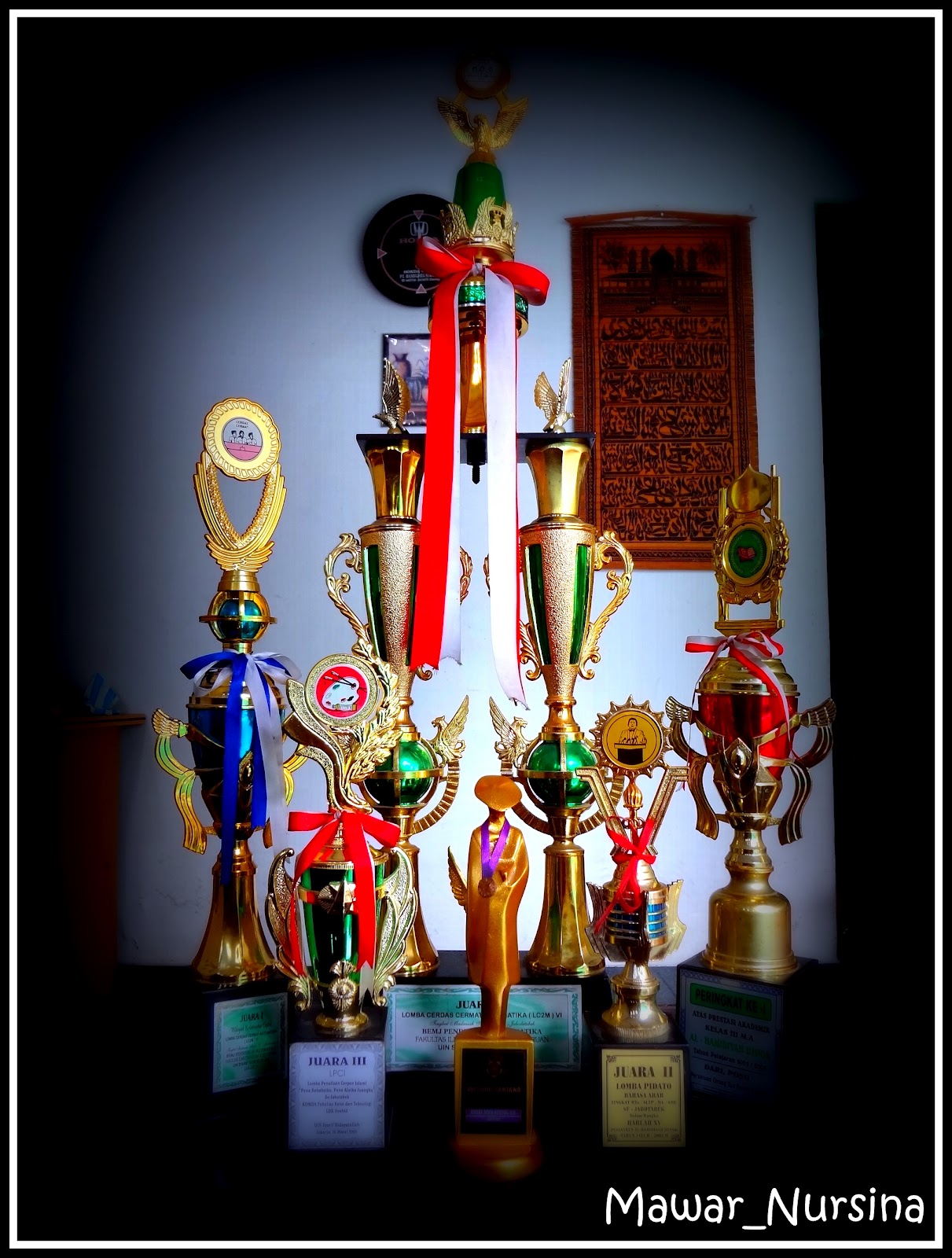 My Thropy Collection,,,