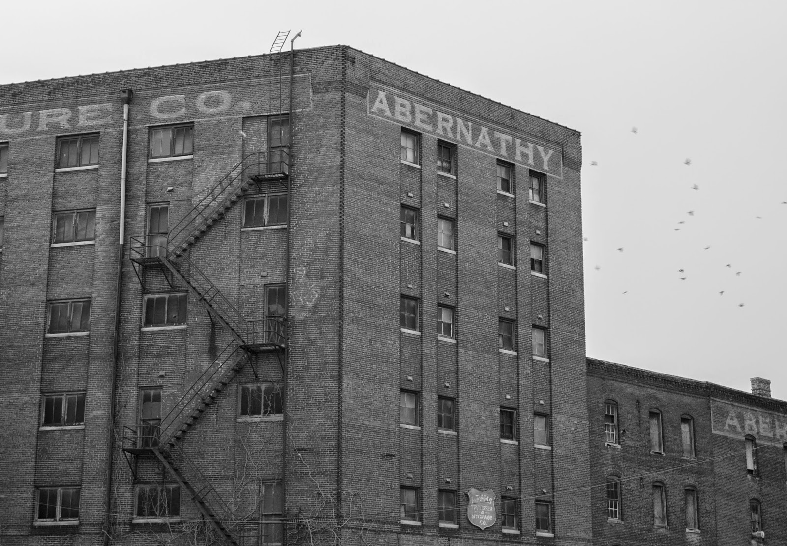 Katie Rodden | process & design: Gestalt Principles