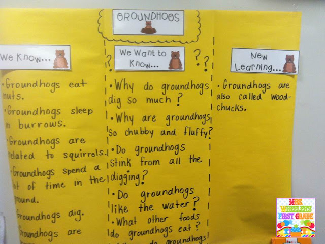 Mrs. Wheeler's First Grade Tidbits: Groundhog Day Fun!