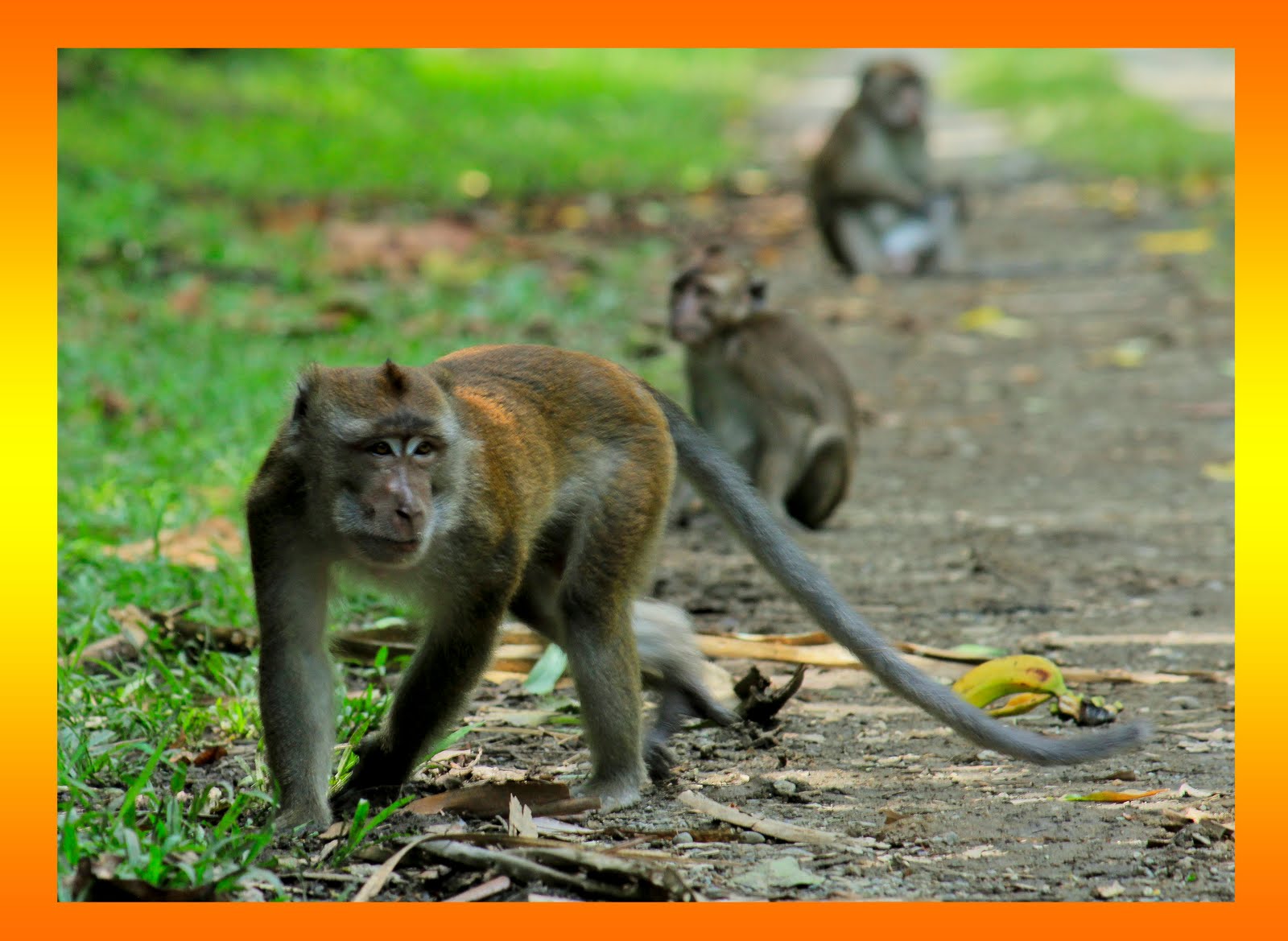 Tagum Snapshots: A GLIMPSE OF TAGUM CITY