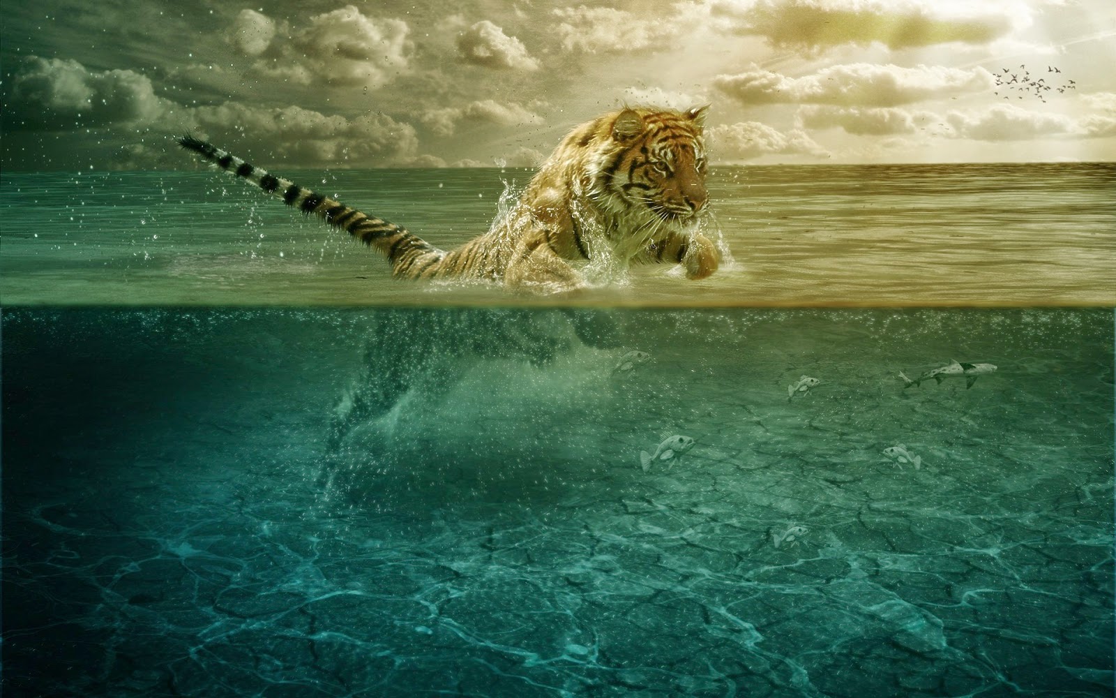 10 Wallpaper Keren HD Terbaru | Deloiz Wallpaper