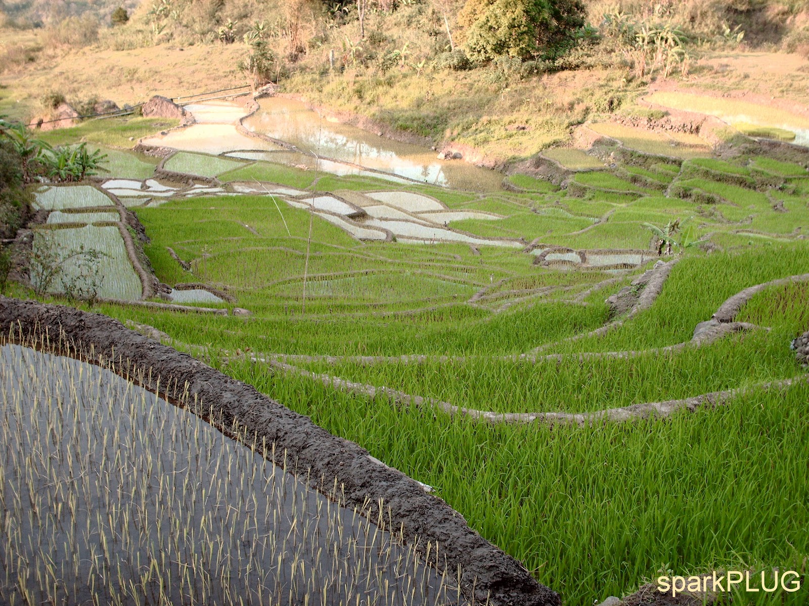 pagnapagna: PAGNAPAGNA (my 1st post)