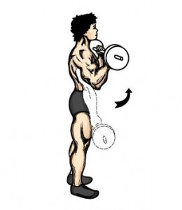 Cia da academia: Exercícios de academia