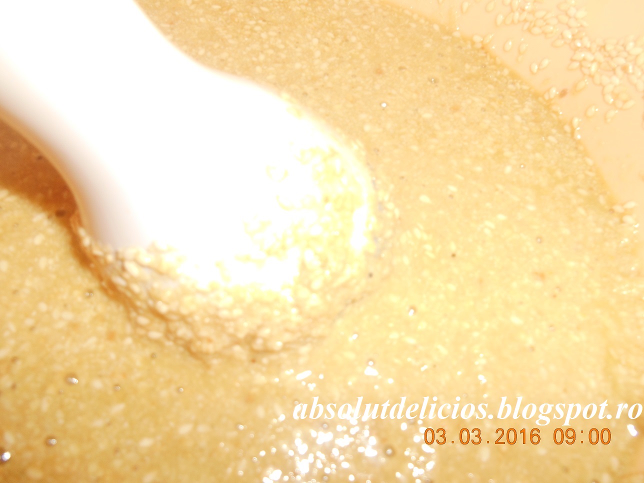 Absolut Delicios: TAHINI - PASTA DE SUSAN