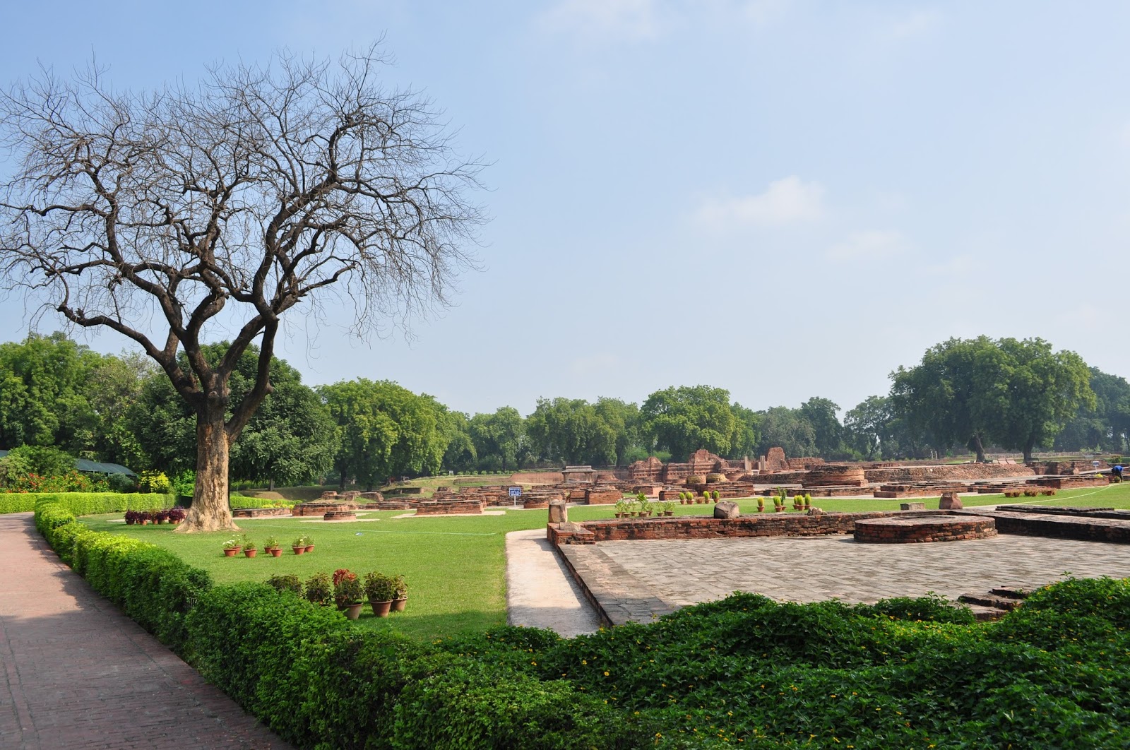 Road Less Travelled: Sarnath Lion Capital Of Ashoka
