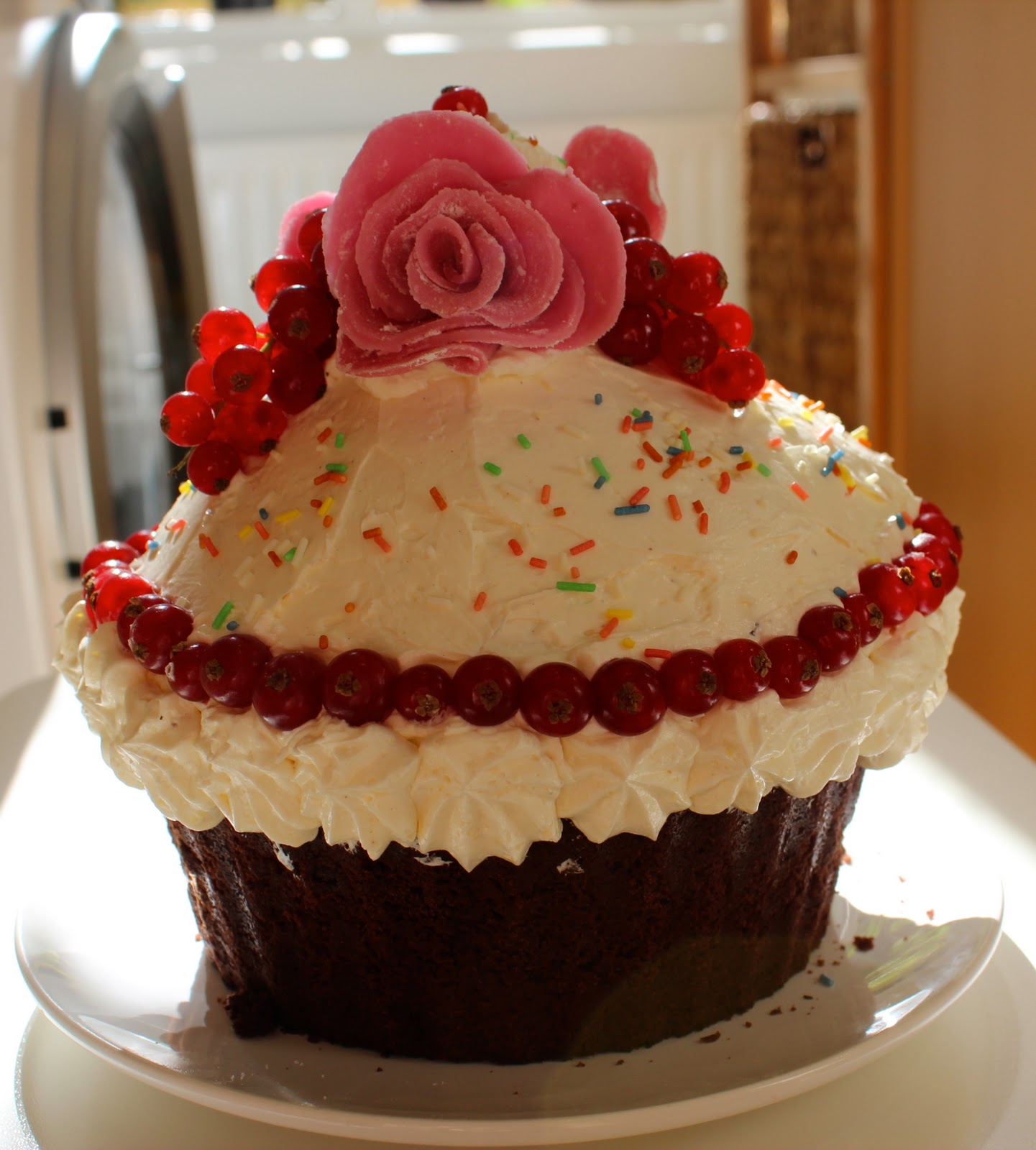 Symmetry and Cake: Giant Vegan Cupcake