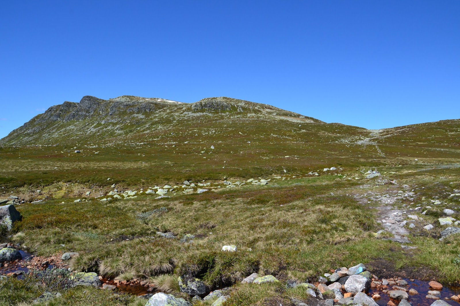 Rundtur Tempelseter - Ranten - Tempelseter 27.06.17