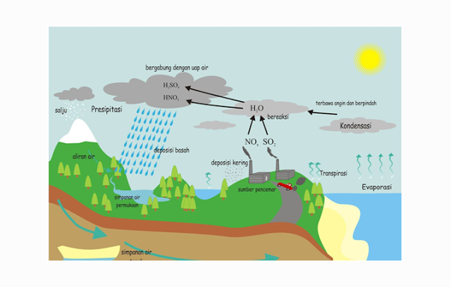 Hujan : Pengertian, Fungsi, Proses Terbentuk, Jenis - Jegeristik