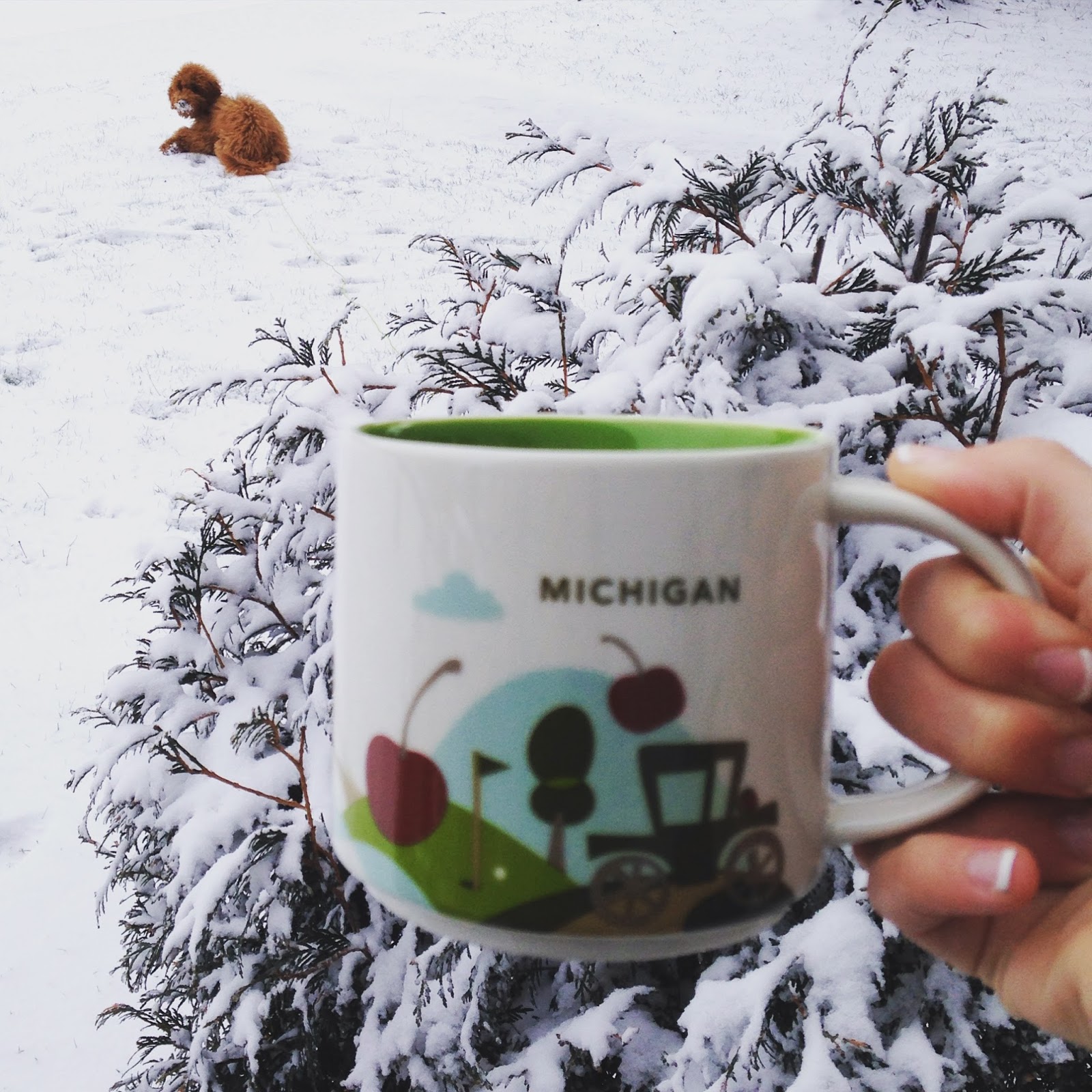 faith in all things: Hello Michigan!