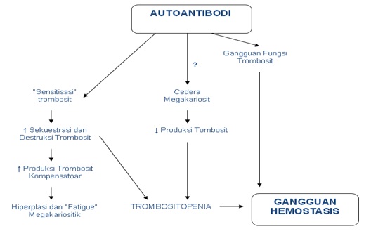 MedSym : Idiopathic Thombocytopenic Purpura (ITP)