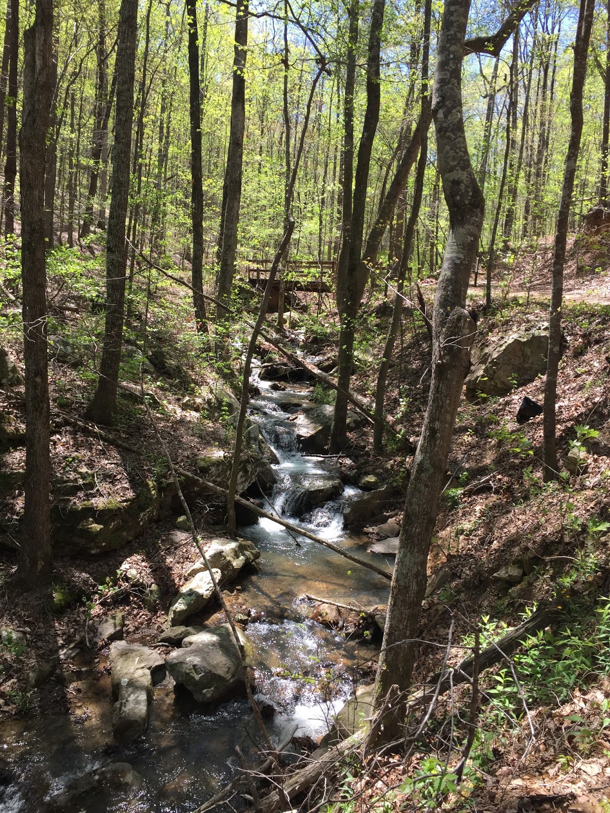 Oak Mountain State Park, Alabama