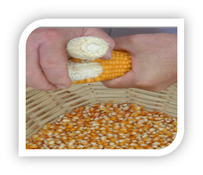 Cocina Ecuatoriana I: La chuchuca