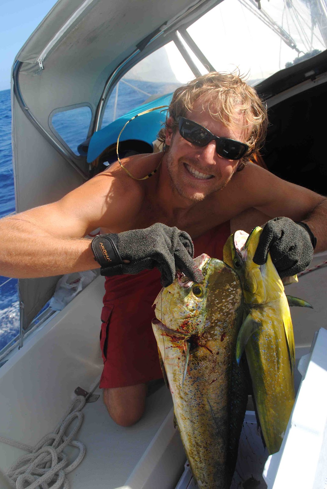 Sailing the Tanqueray: Monsters of the Deep – A Fishing Tale Continues