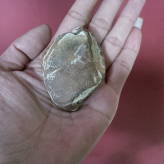 Batu Ular Asli Papua - Mustika Alam | Batu Mustika | Benda Bertuah ...