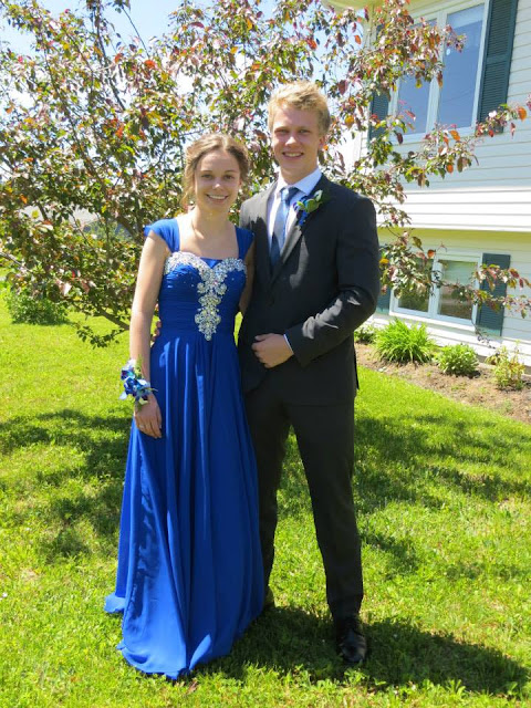 THE BLESSED HEARTH: Cottage Days and Graduations....