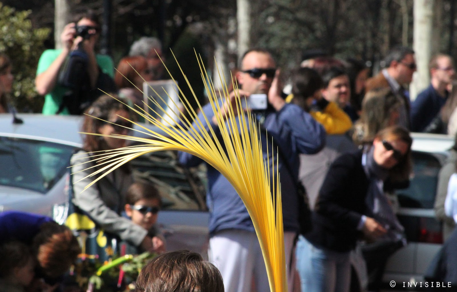 Invisible SLG Photos: Los ramos de Domingo de Ramos